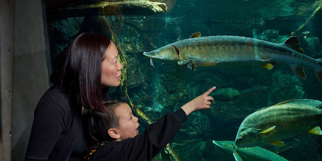 Museum Passes – Brooks Memorial Library – Brattleboro VT