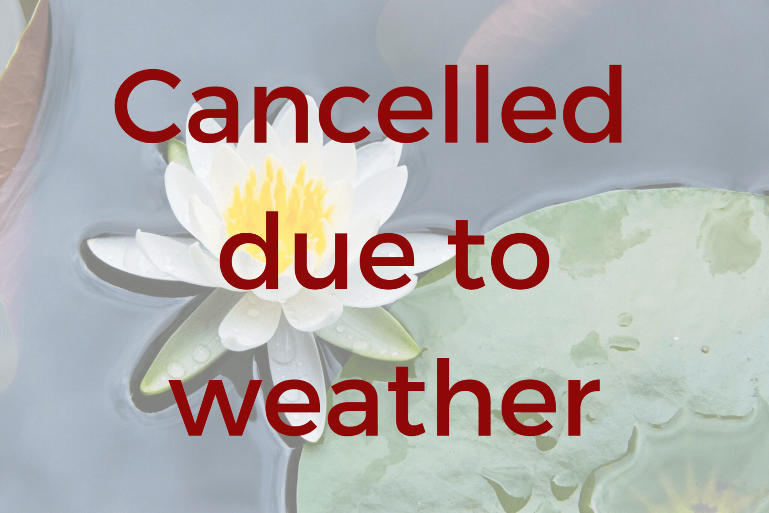 Garden Party CANCELLED – Brooks Memorial Library – Brattleboro VT