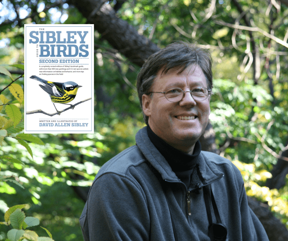 Home | Brooks Memorial Library - Brattleboro VT